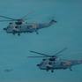 Seaking Aircraft Painting Painting by Sukhdev Kalel | Saatchi Art