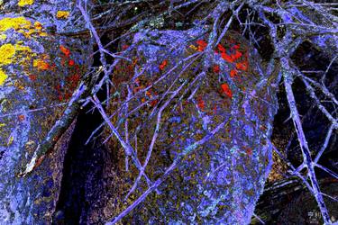 henri durand Artworks | Saatchi Art