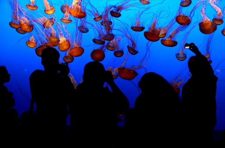 Paparazzi Photography by Katherine McCall | Saatchi Art