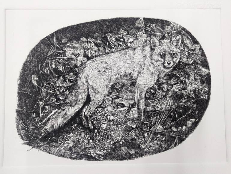 Fox Drypoint Etching Printmaking by Kate Bradley | Saatchi Art