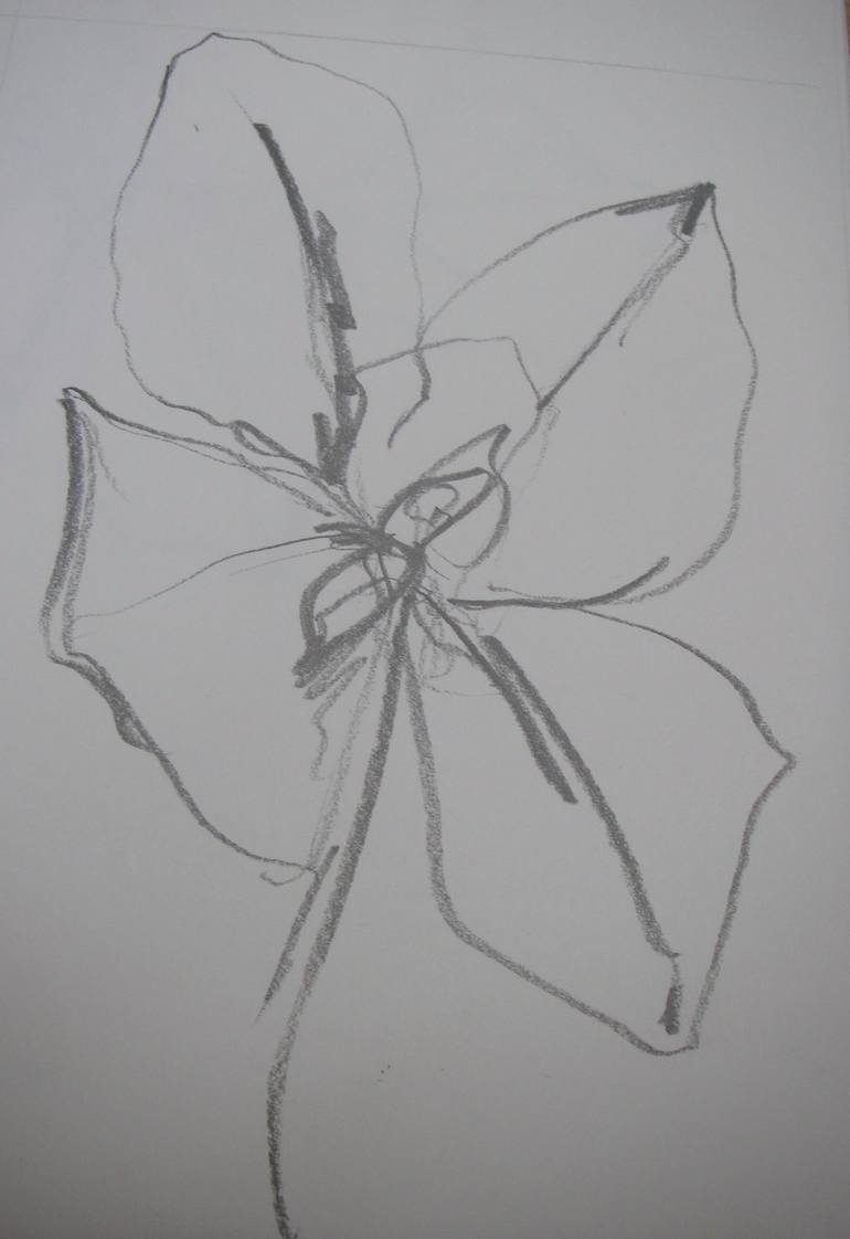 Sketch Drawing by Lindi Harrison | Saatchi Art