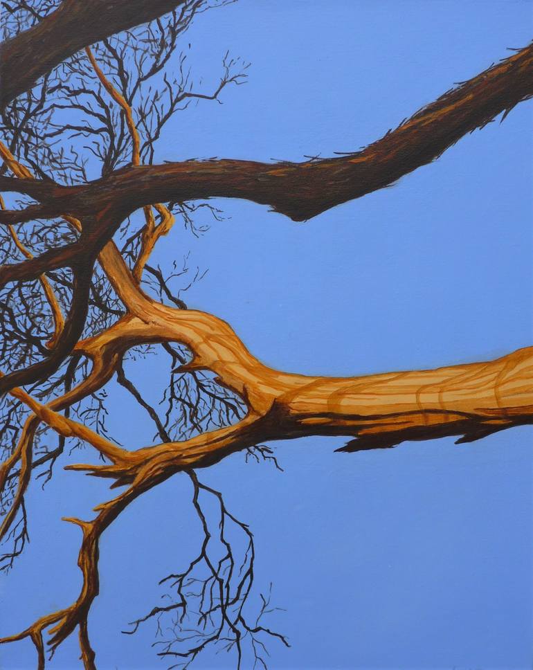 Emerged & Emerging, Arbutus Cove Painting by April Lund | Saatchi Art