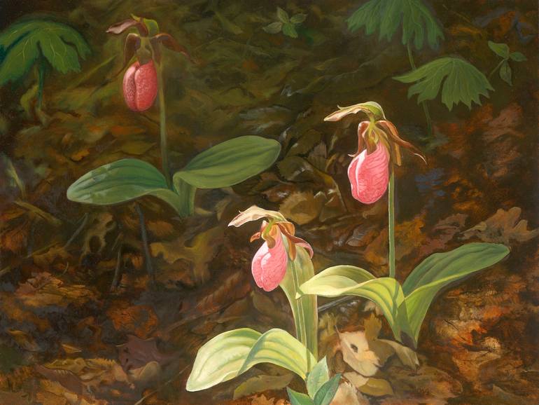 Pink Lady Slippers Painting by John Harne | Saatchi Art