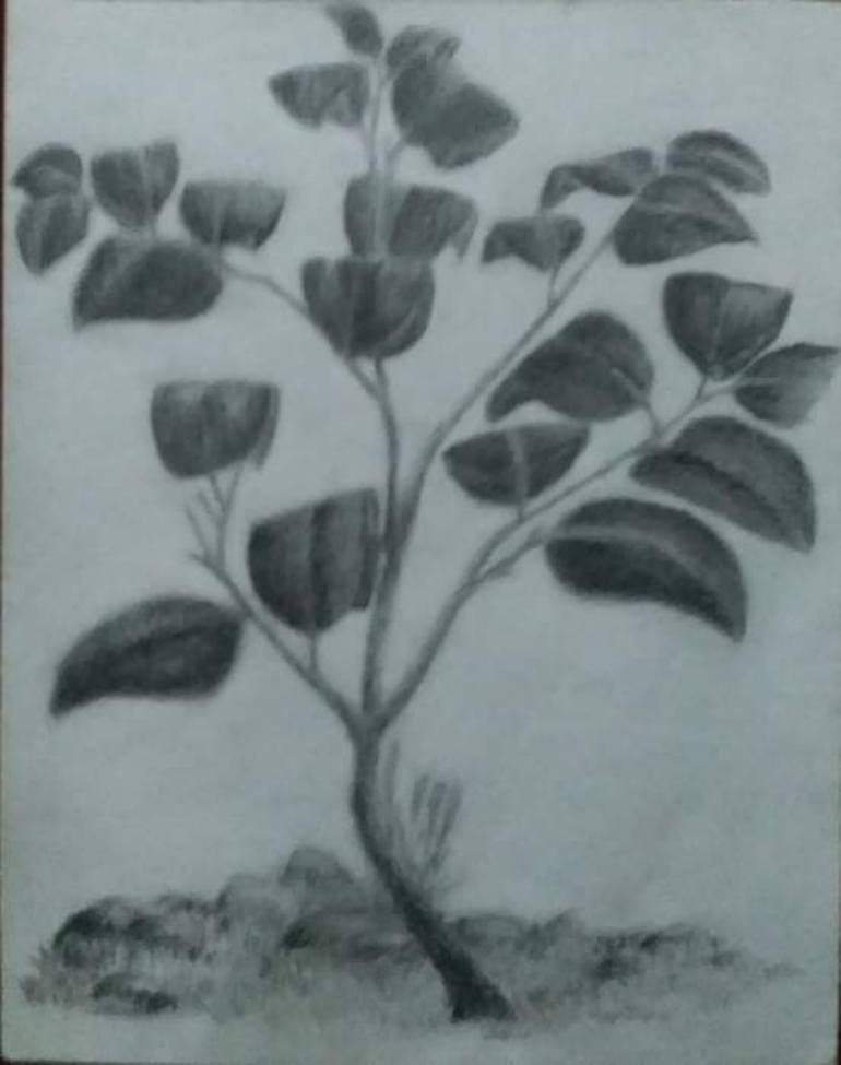 Pencil Drawing Drawing By Premjith Pc Saatchi Art