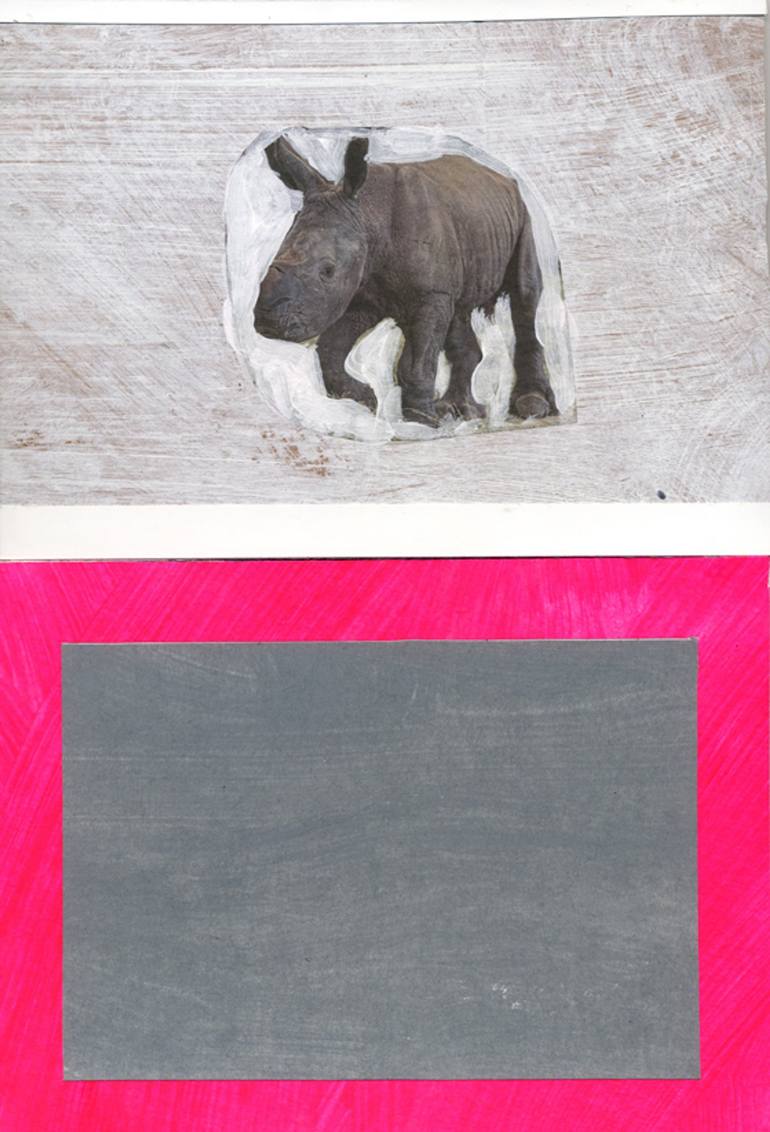 Rhino Collage by Tom Scase | Saatchi Art