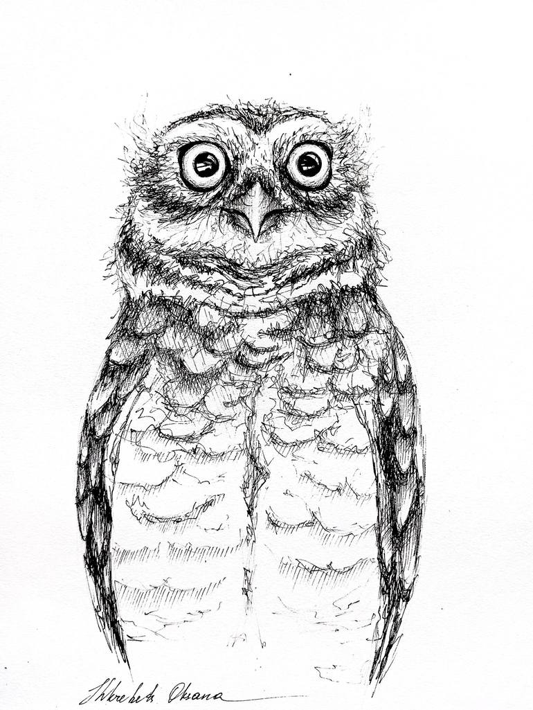 Athene cunicularia Drawing by Oksana Shkrebets | Saatchi Art