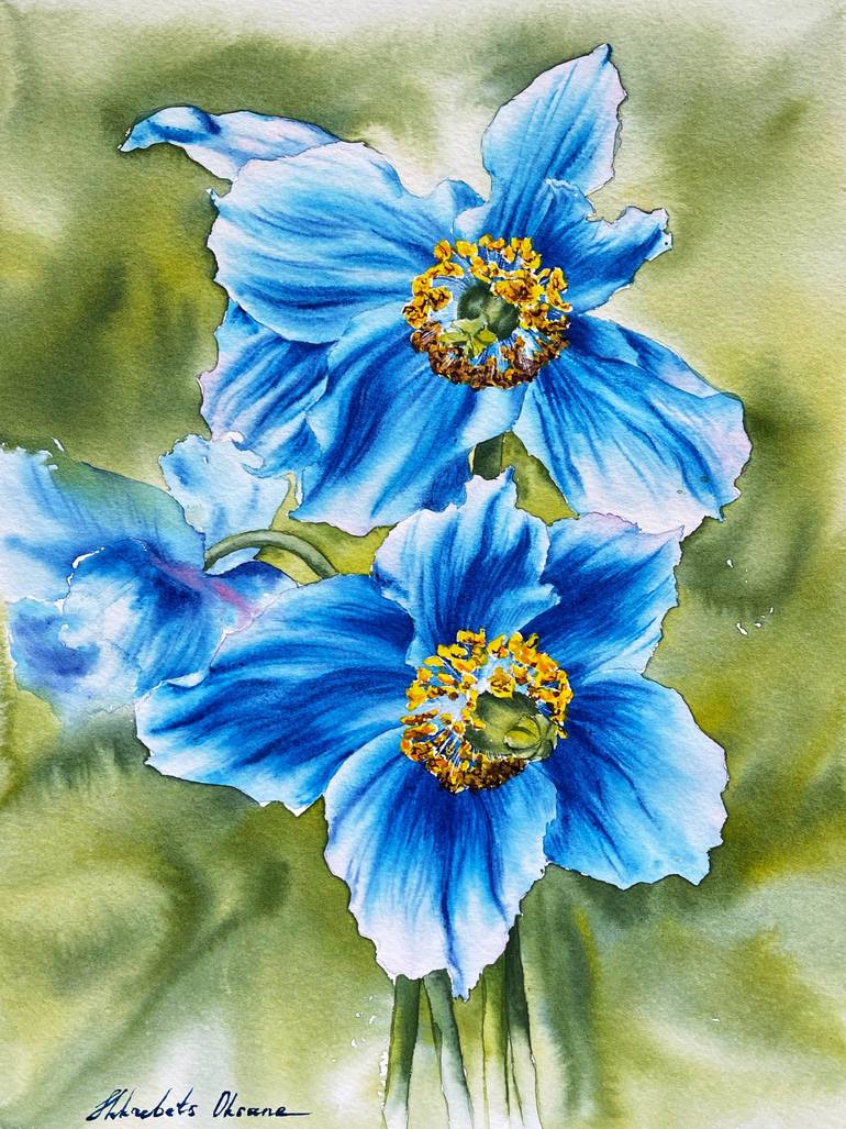 Himalayan blue poppies - original watercolor flowers painting Painting ...