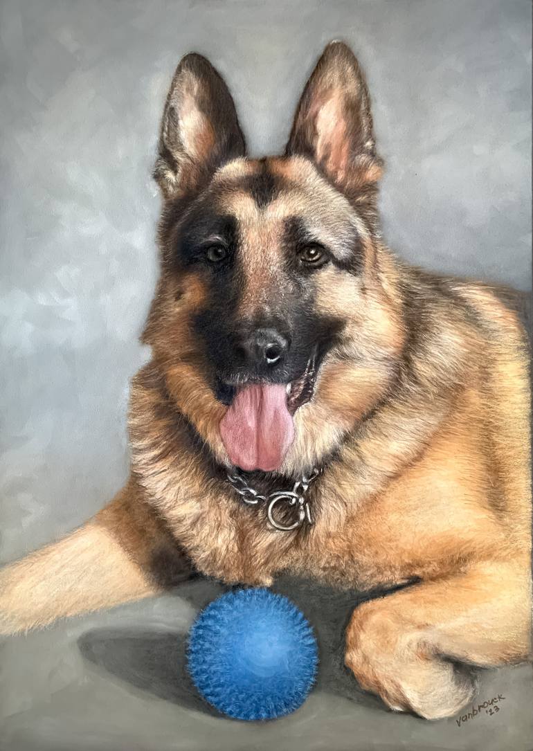 Major the Sheppard Drawing by John VanBrouck | Saatchi Art