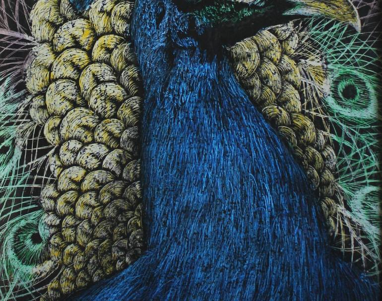 Pavo Real Drawing by Ruth Pérez | Saatchi Art