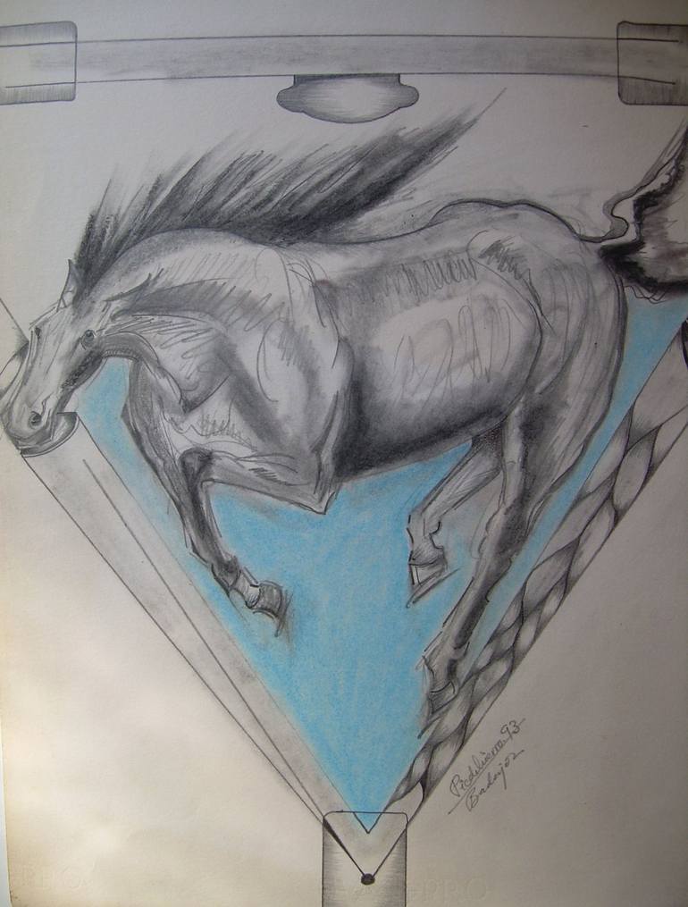 Caballo. Drawing by Rafael Piedehierro | Saatchi Art