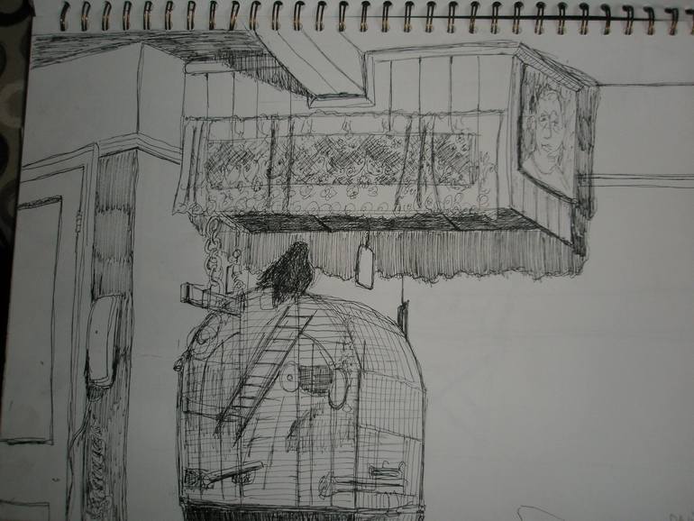 parrot Drawing by david lines | Saatchi Art