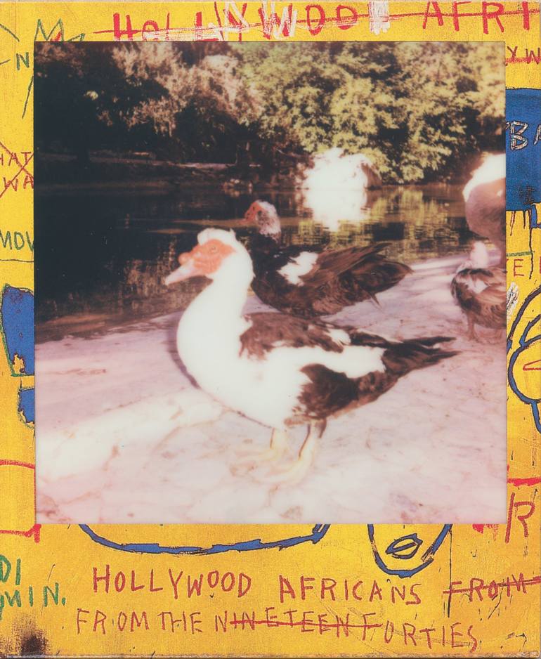 Athens Duck Mafia – The National Garden Syndicate Photography by ...