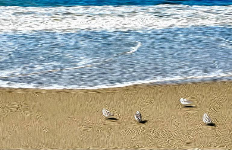 Santa Monica Plovers Photography by Tracey Noonan | Saatchi Art