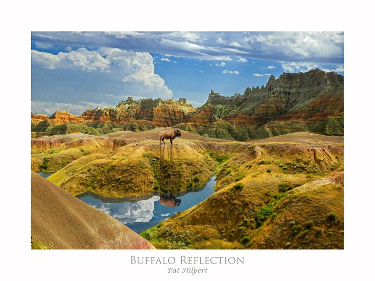 Buffalo Reflection Digital by Patricia Hilpert | Saatchi Art