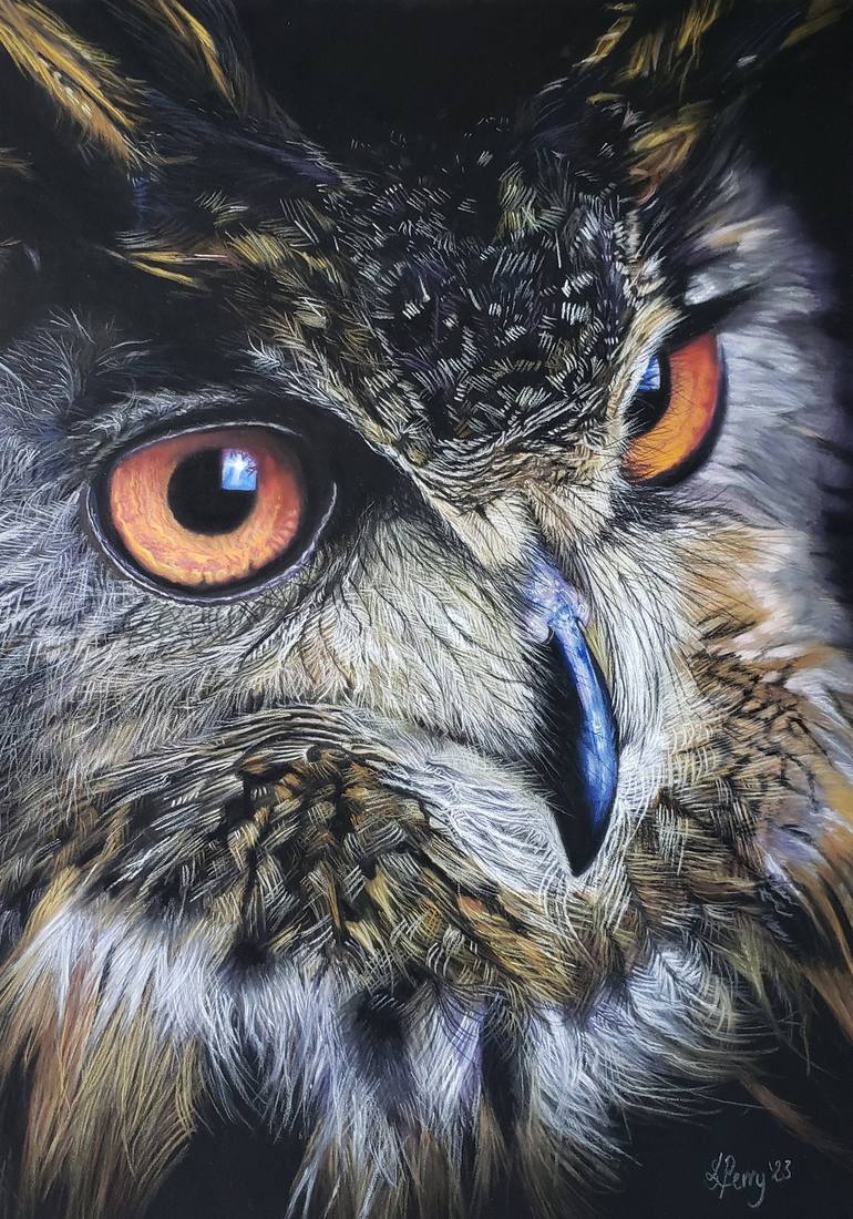 Eurasian Eagle Owl Drawing by Sarah Perry | Saatchi Art