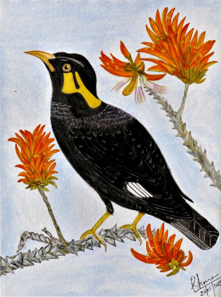 Hill Myna & Indian coral tree Painting by Reshma Tholur | Saatchi Art