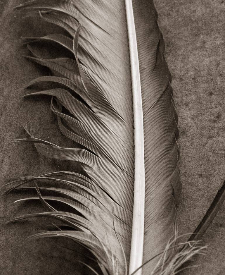 #3 Series: Land and Sea Photography by Ann Stratton | Saatchi Art