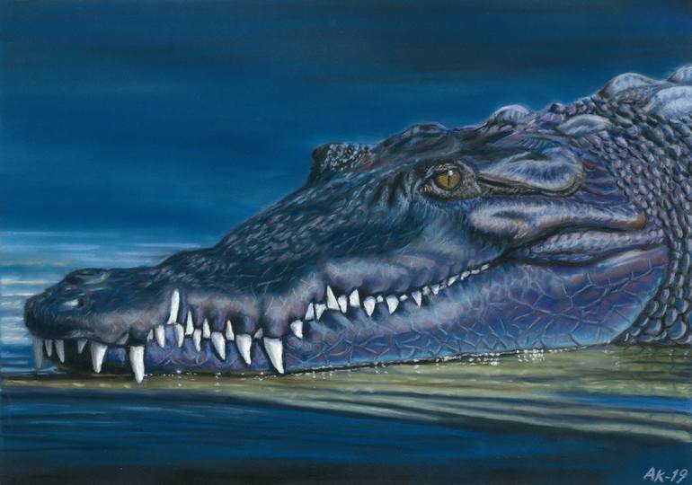 Crocodile Drawing by Anni Kråka | Saatchi Art