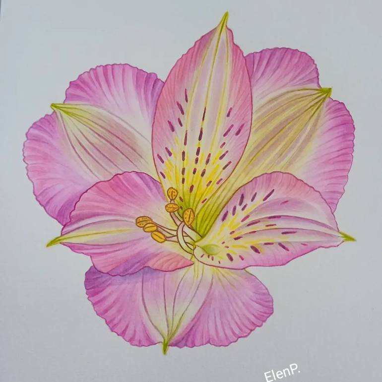 Alstroemeria Painting by Elena Popova | Saatchi Art