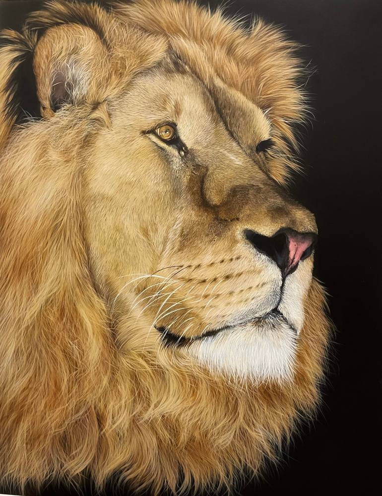 Perspective (Male Lion) Painting by Zoya Aafaq | Saatchi Art