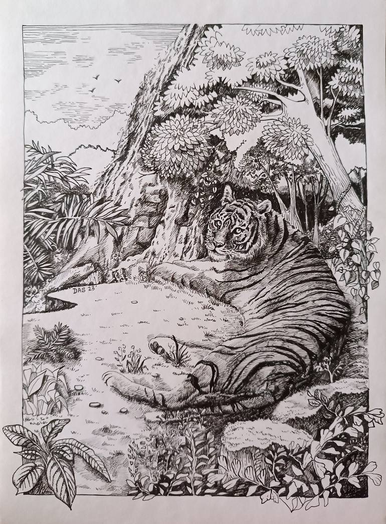 The Bengal Tiger Drawing by APARAJITA DAS | Saatchi Art