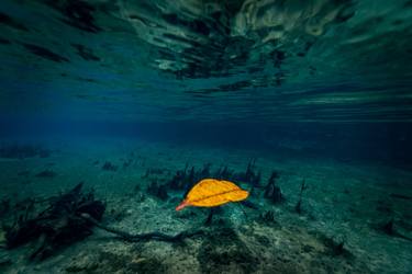 Mark Greathouse Artworks | Saatchi Art