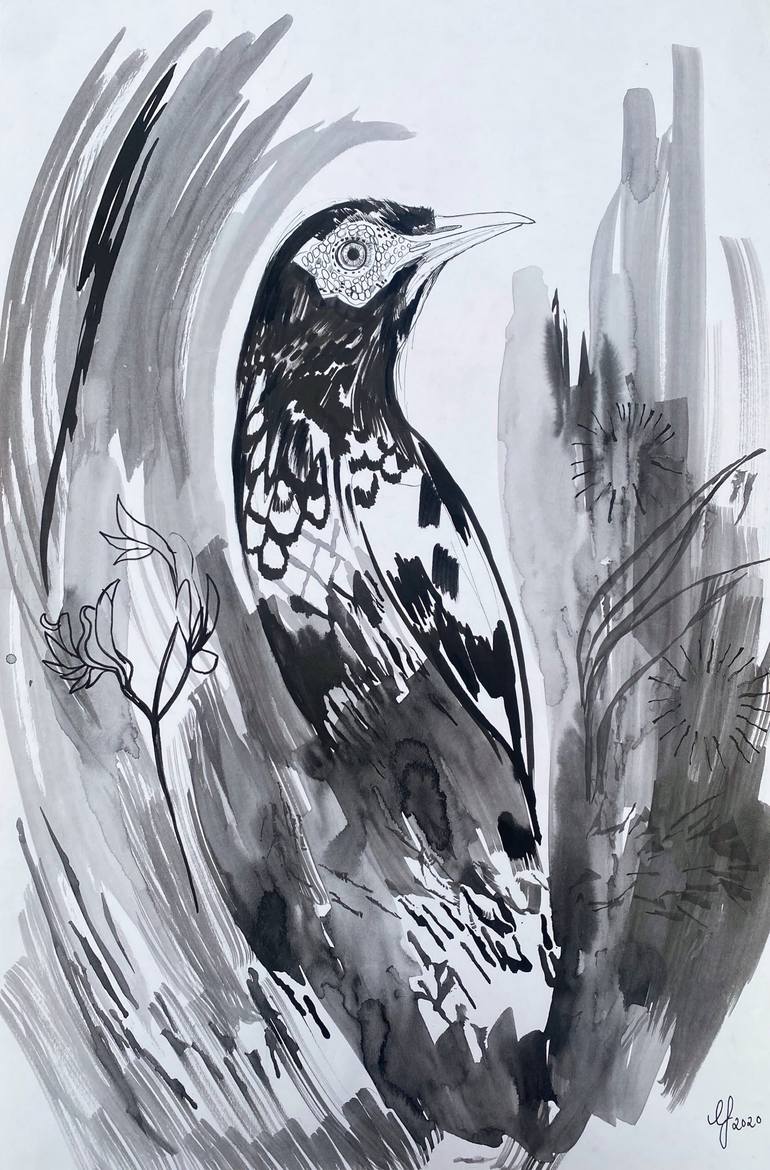 Australian Regent HoneyEater Drawing by Cara Fraser | Saatchi Art Germany