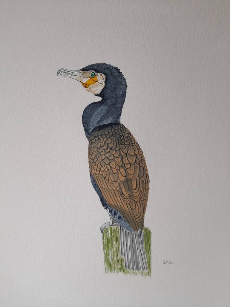 Cormorant Painting by Stephen Sargeant | Saatchi Art