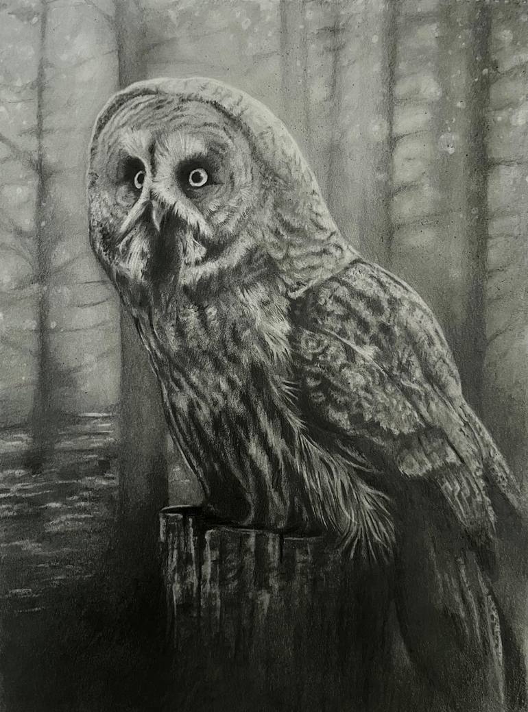 The Watcher Drawing by Robin Rice | Saatchi Art