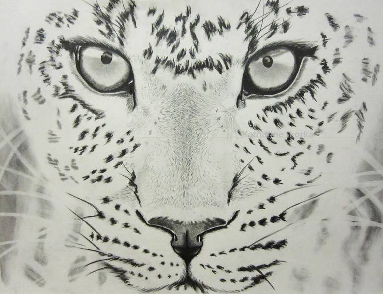 Leopard Eyes Drawing by Katharine Skorka | Saatchi Art