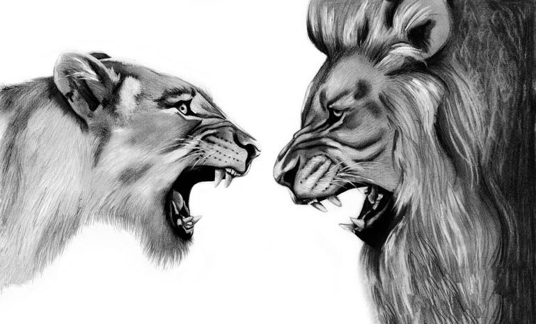 Roar Drawing by Nagore Rodriguez | Saatchi Art