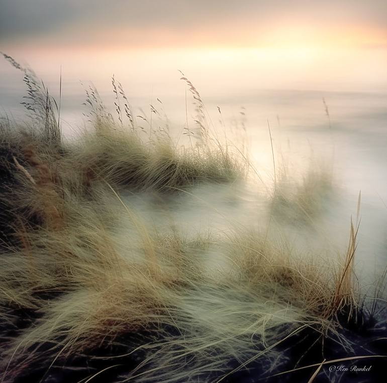 Dune Grasses Digital by Ken Runkel | Saatchi Art