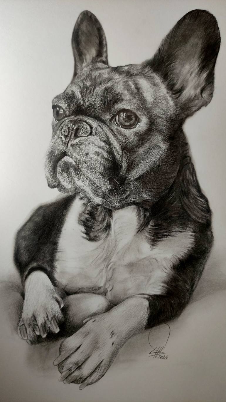 Frenchie Drawing by Sergio Mancini | Saatchi Art