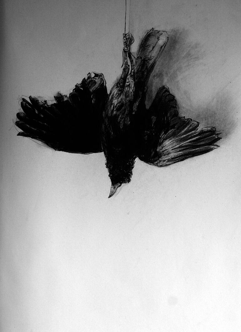 Cuervo Drawing by Ezra Winston | Saatchi Art