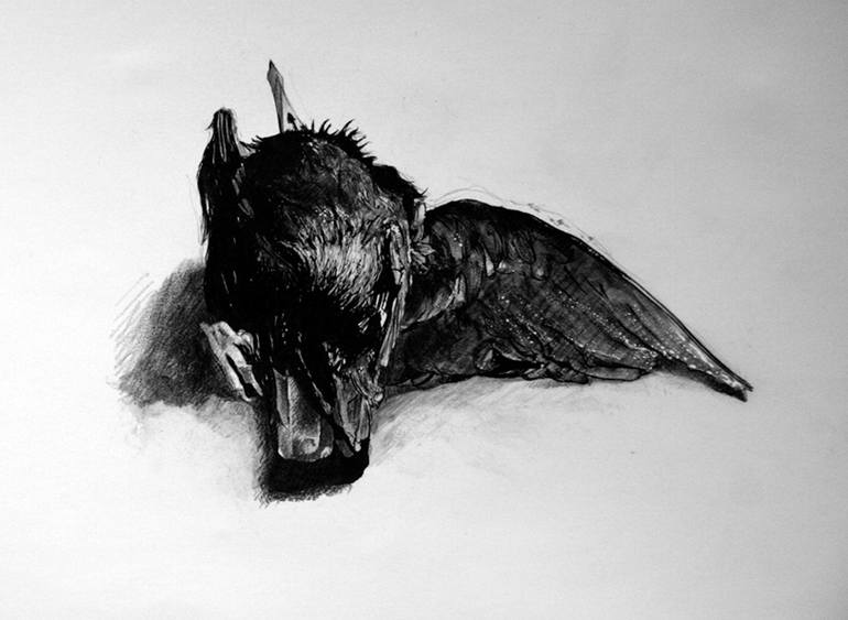 Cuervo Drawing by Ezra Winston | Saatchi Art