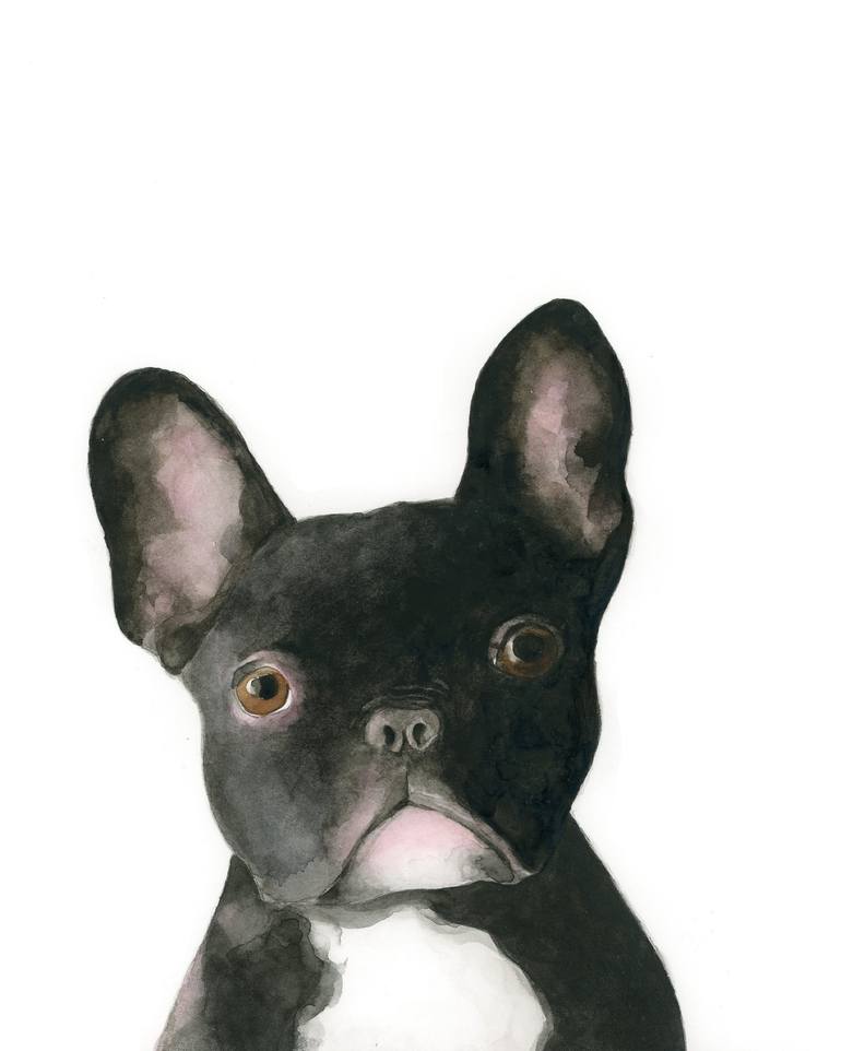 Black French Bulldog Painting by Hannah Crouch | Saatchi Art
