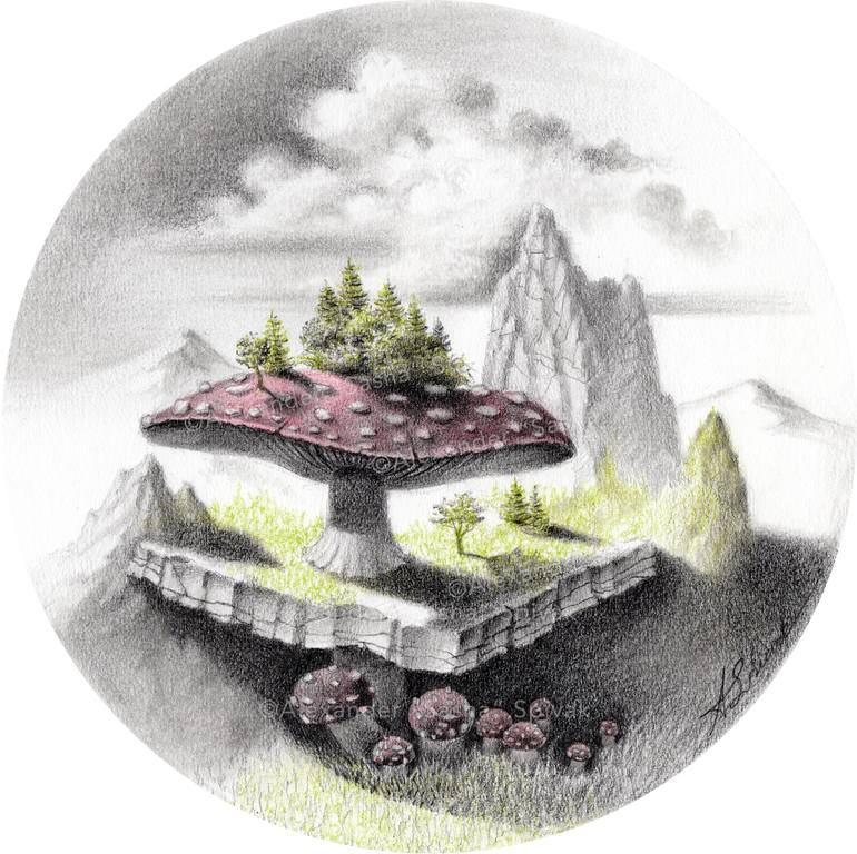 Fly Agaric Drawing by Alexander Spivak | Saatchi Art