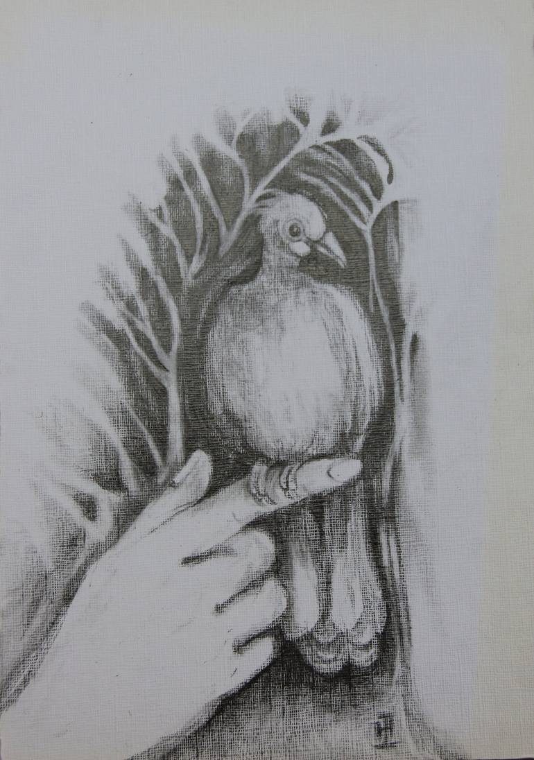 BIRDIara Drawing by Iara Harari | Saatchi Art