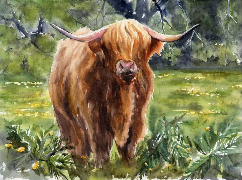 Scottish Highland Cow Scotland Cattle Painting by Ekaterina Kovalev ...
