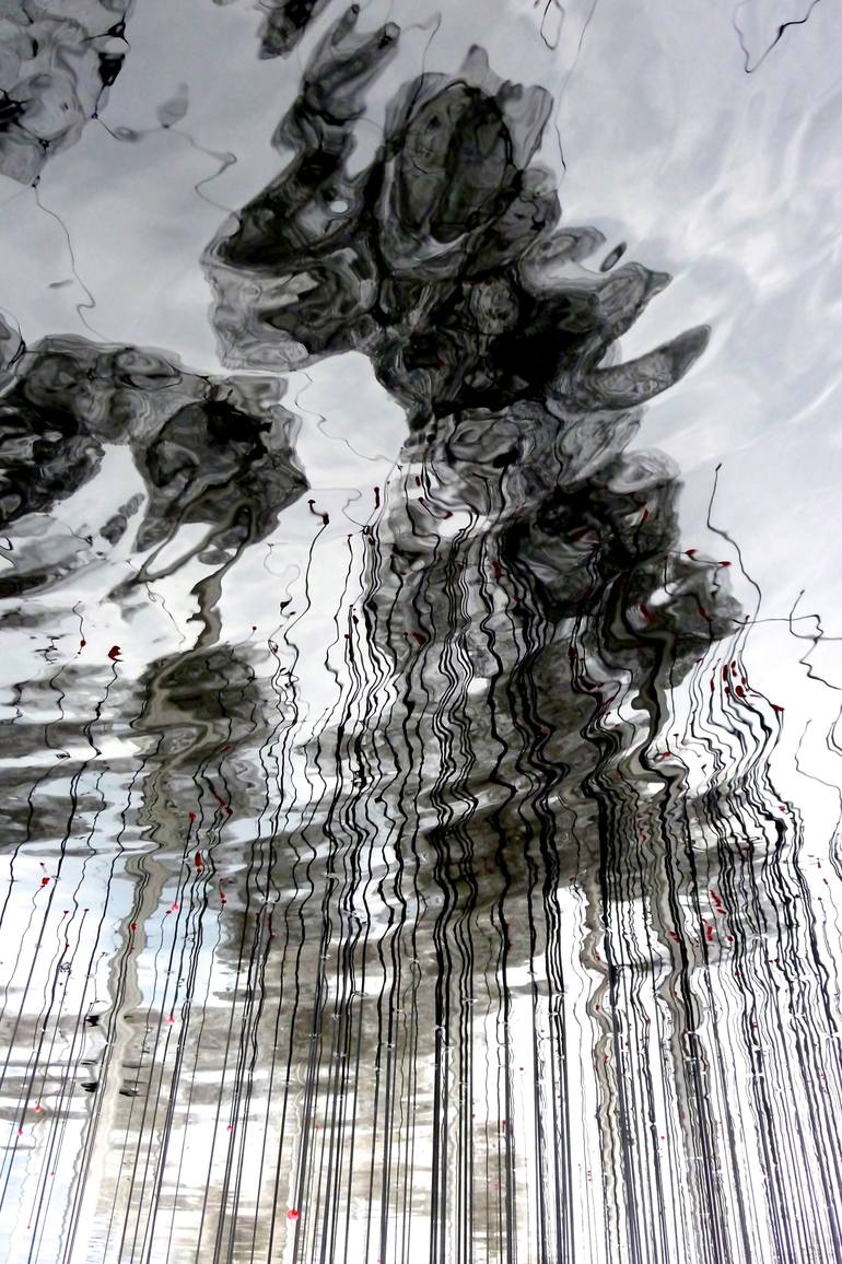 Water Reflection Photography Black And White