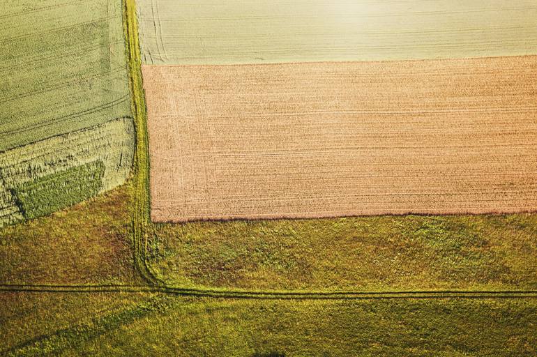 Greenway - Limited Edition 1 of 9 Photography by fernand Reiter ...