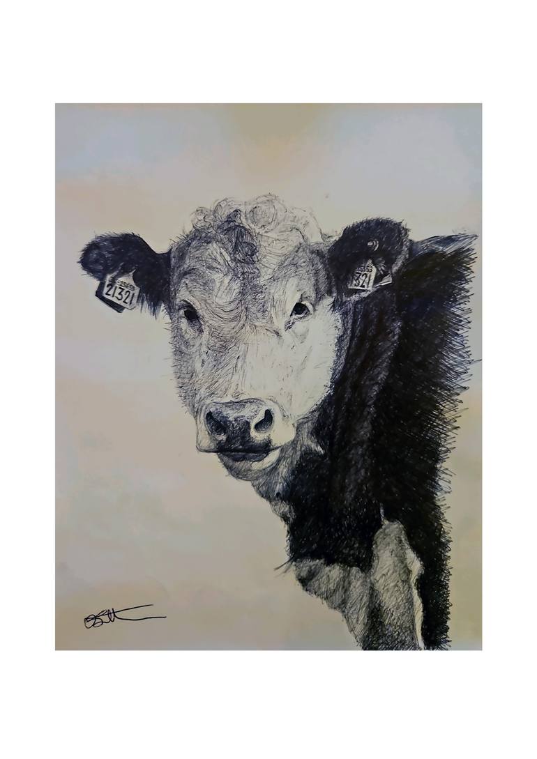 Curiosity Drawing by Oliver Lloyd-Sutton | Saatchi Art