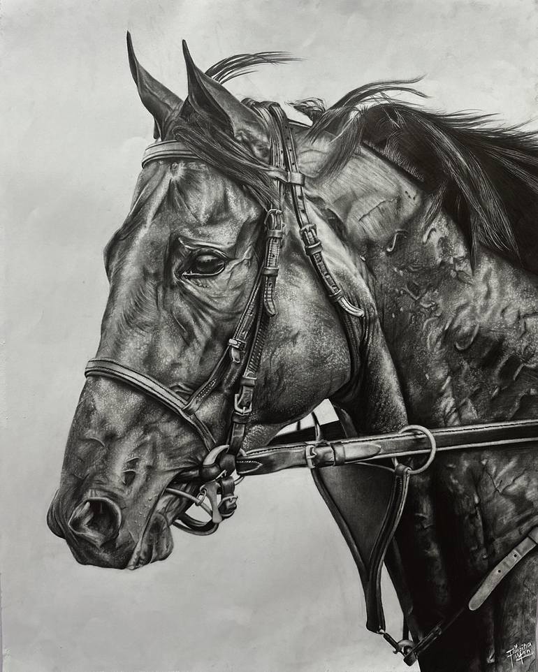 Equine Elegance Drawing by Tanziha Irfan | Saatchi Art
