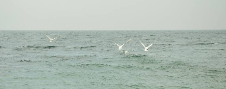 Take Off on Lake Garda, Color Photography by Paul Kadlcak | Saatchi Art