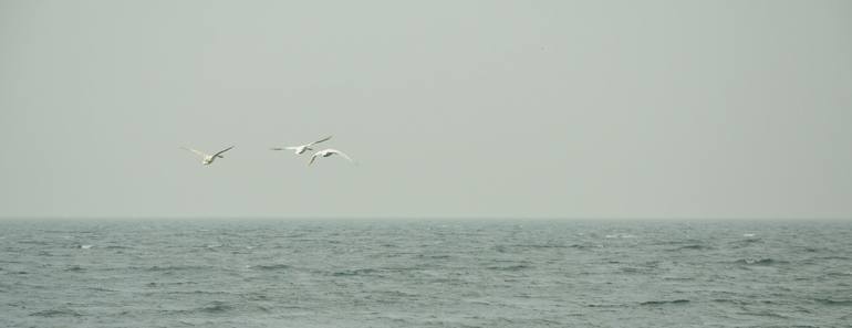 Take Off on Lake Garda, Color Photography by Paul Kadlcak | Saatchi Art