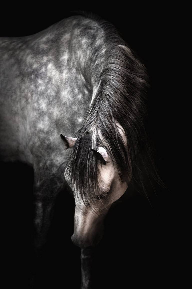 At Home in My Body Photography by Anna Archinger | Saatchi Art