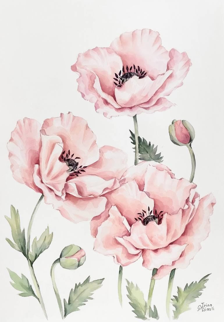 Watercolor Pink Poppies Painting by Irina Diasli | Saatchi Art