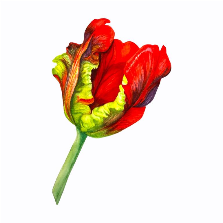 Parrot Tulip Painting by Tetyana Hubska | Saatchi Art