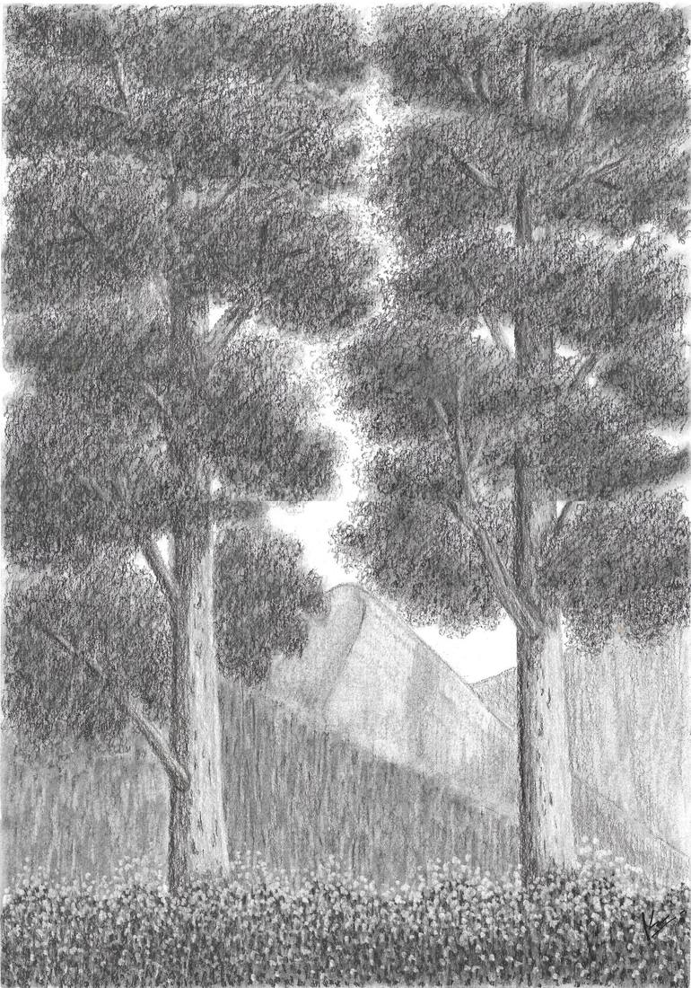 Twin Trees Drawing by Kunal Girme | Saatchi Art