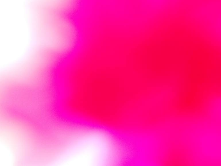 fully pink Photography by Alexandra Masson | Saatchi Art